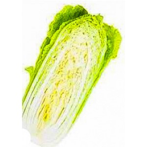 Cabbage Chinese Mini Wombok Twin Pack