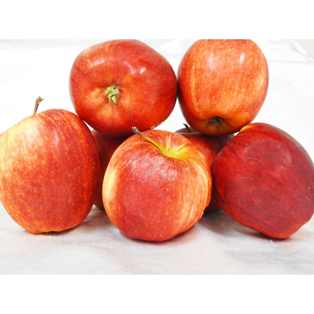 Apples- Royal Gala